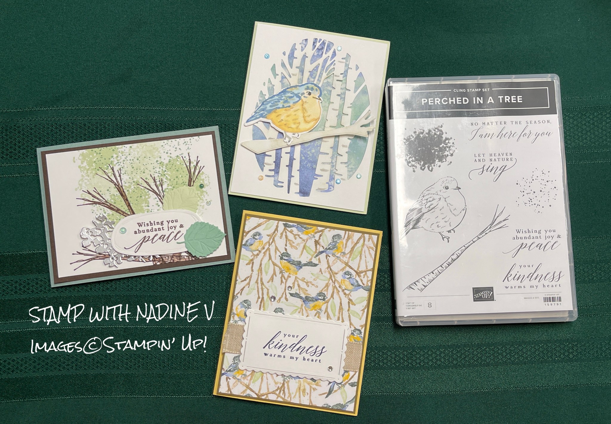 Perched In A Tree / Aspen Tree Dies Card Class Follow Up – Stamp With ...